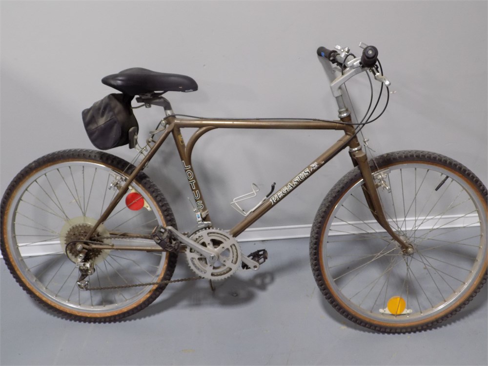 Transitional Design Online Auctions - Pegasus Lotus Bike