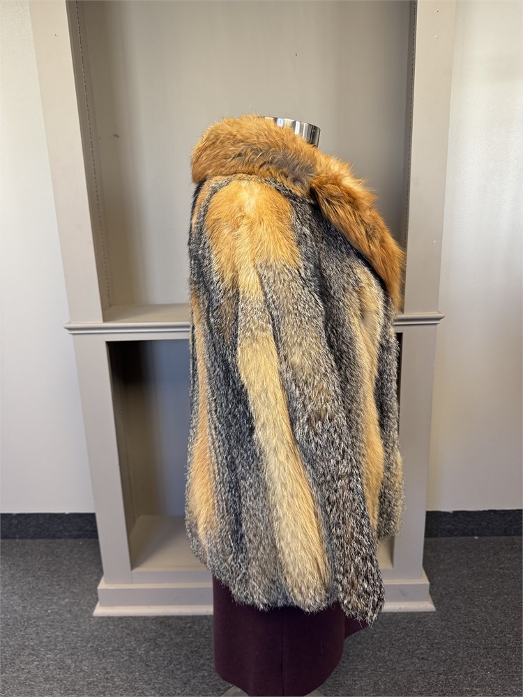 Transitional Design Online Auctions - Coat-Grey Fox Kit -Red Fox Collar