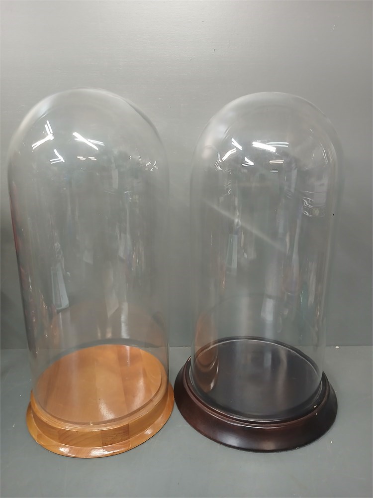 Transitional Design Online Auctions - Glass Display Domes & Wood Base
