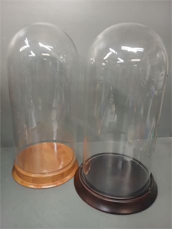 Transitional Design Online Auctions - Glass Display Domes & Wood Base