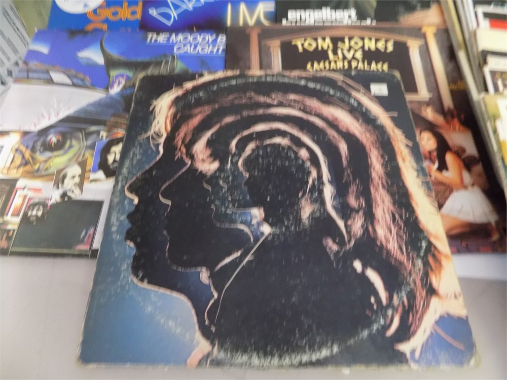 Transitional Design Online Auctions - Classic Rock Record Collection