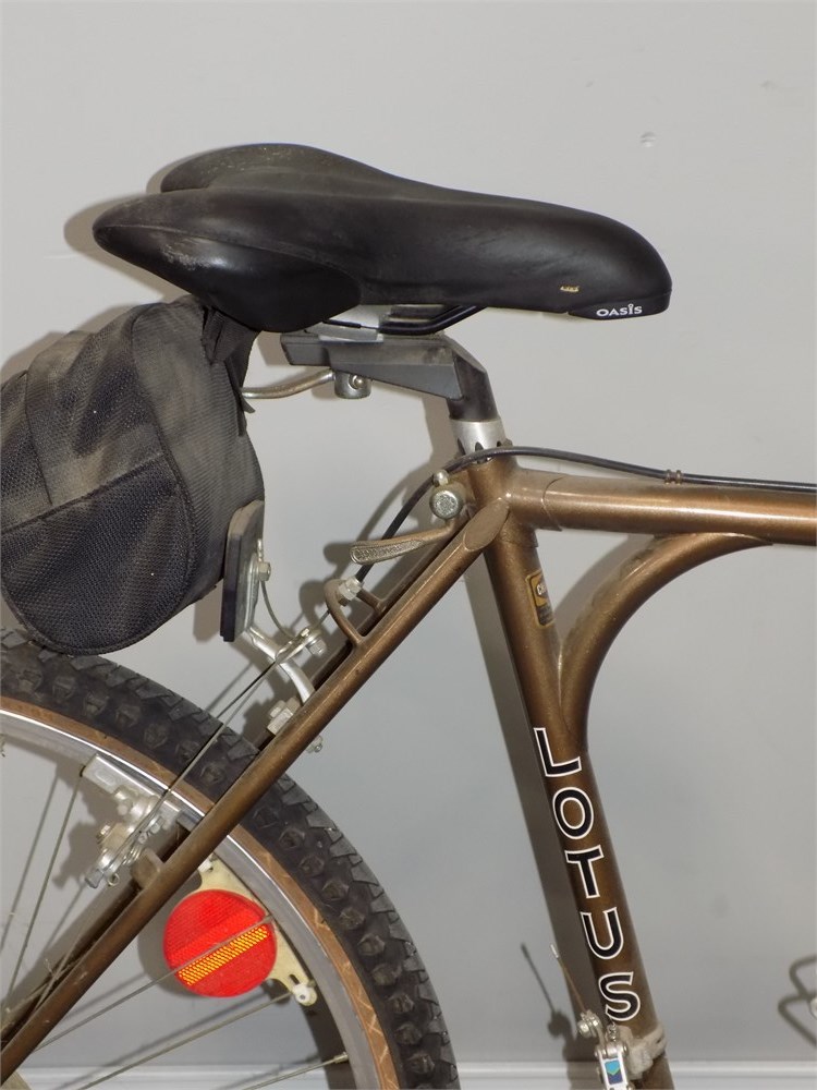 Transitional Design Online Auctions - Pegasus Lotus Bike