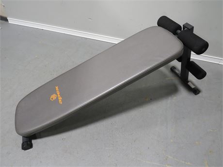 Transitional Design Online Auctions - APEX Exercise Bench