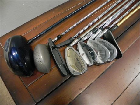 Transitional Design Online Auctions - Golf Clubs / Wide Variety / 8