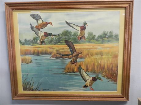 Transitional Design Online Auctions - Cernia Flying Duck Pond Art Print
