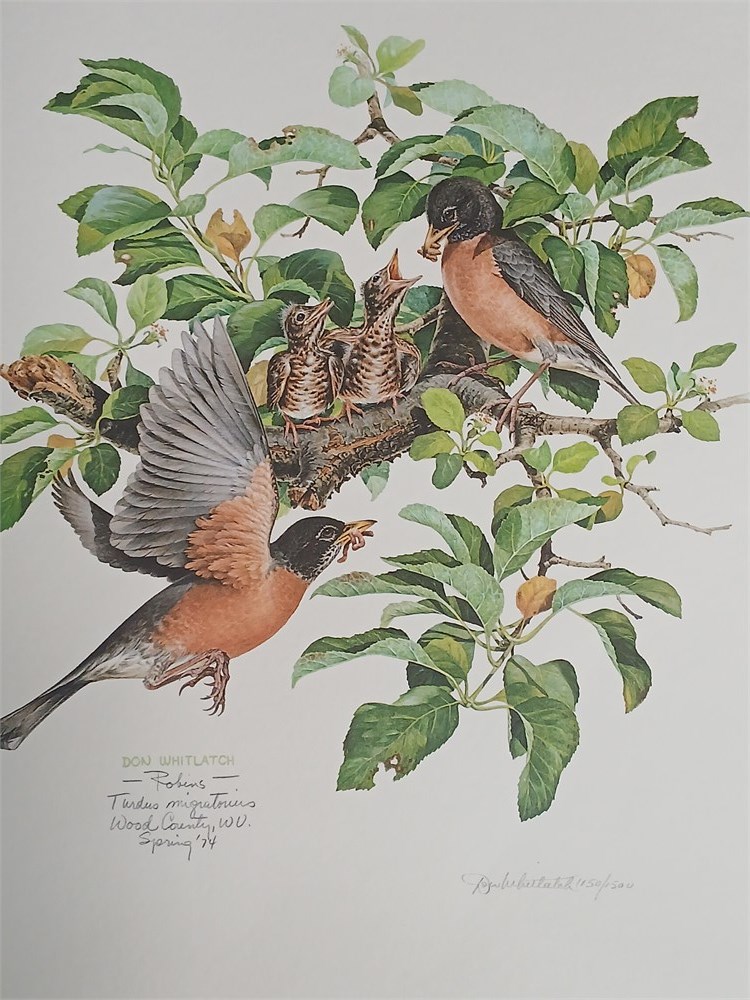 Transitional Design Online Auctions - Signed Don Whitlatch Print
