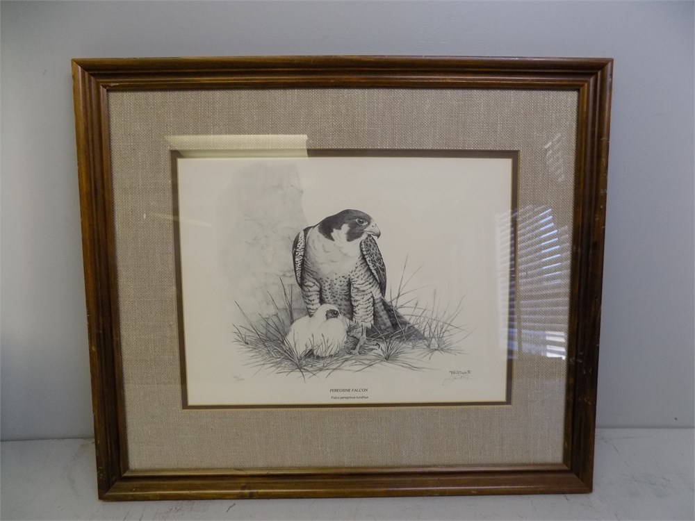 Transitional Design Online Auctions - John A Doyle Print