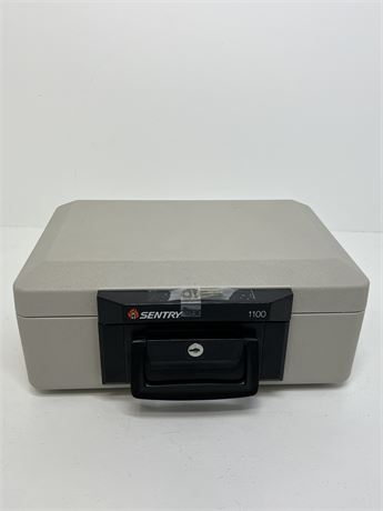 Transitional Design Online Auctions - Sentry Fireproof Safe