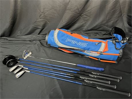 Transitional Design Online Auctions - Ping Junior Golf Club Set / Bag