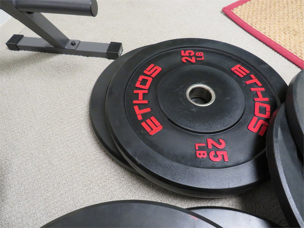 Transitional Design Online Auctions - Olympic Weights Plate Lot Ethos ...