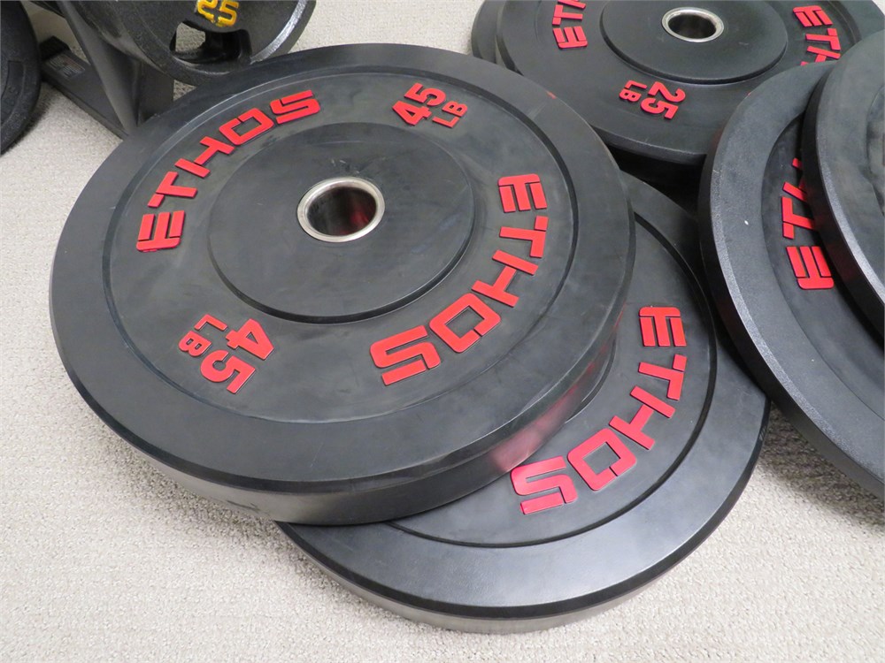 Transitional Design Online Auctions - Olympic Weights Plate Lot Ethos ...