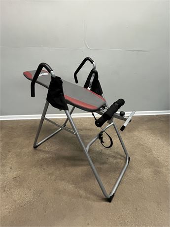 Transitional Design Online Auctions - Body Champ Inversion Table