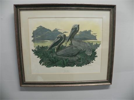 Transitional Design Online Auctions - Richard Sloan "Brown Pelican ...
