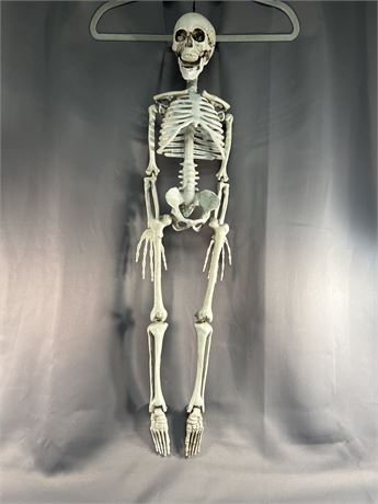 Transitional Design Online Auctions - Plastic Skeleton