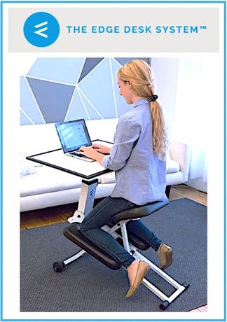 Transitional Design Online Auctions - Ergonomic Desk / The Edge Desk System
