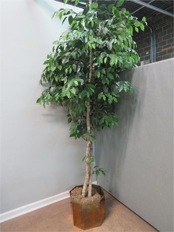 Transitional Design Online Auctions - 7 ft. Artificial Ficus Tree