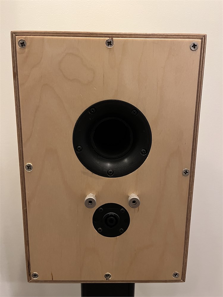 Transitional Design Online Auctions - Custom Purifi Speakers