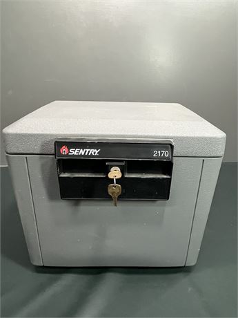 Transitional Design Online Auctions - Sentry Fire Safe