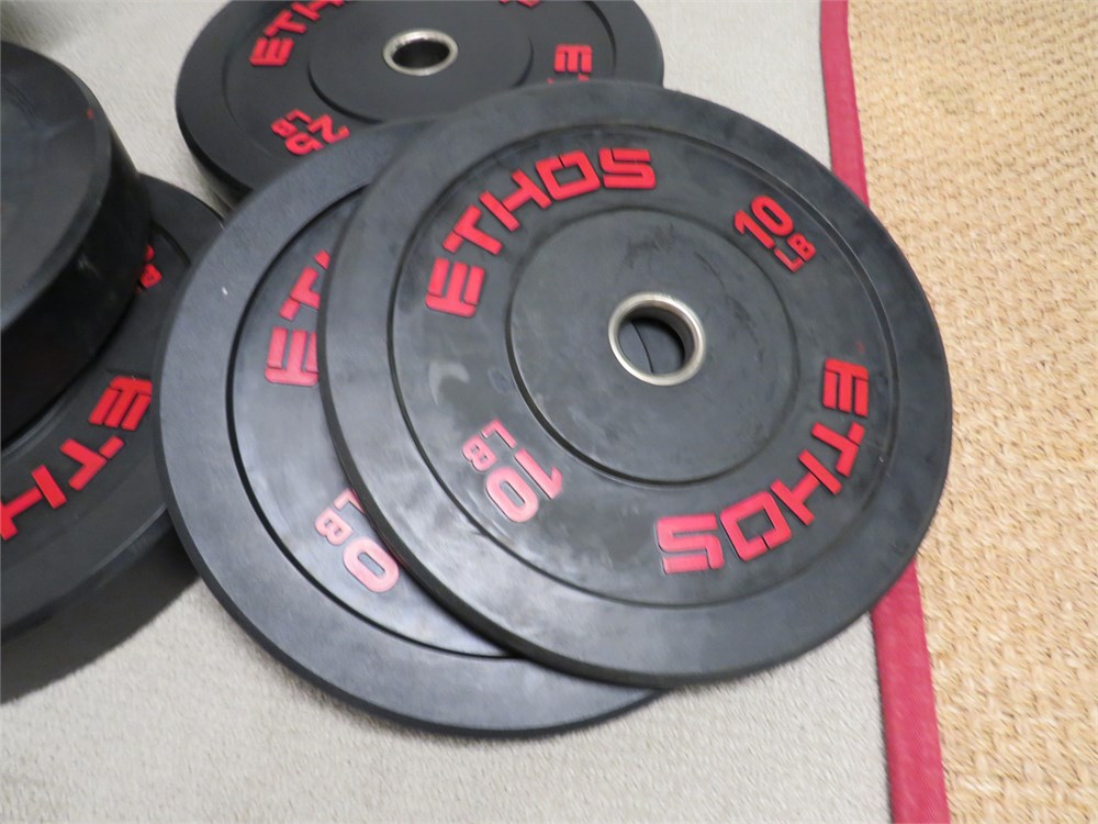 Transitional Design Online Auctions - Olympic Weights Plate Lot Ethos ...
