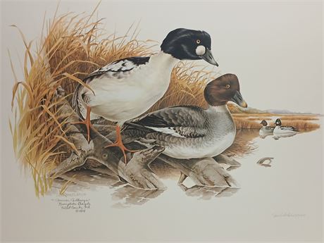 Transitional Design Online Auctions - Signed Don Whitlatch Print ...